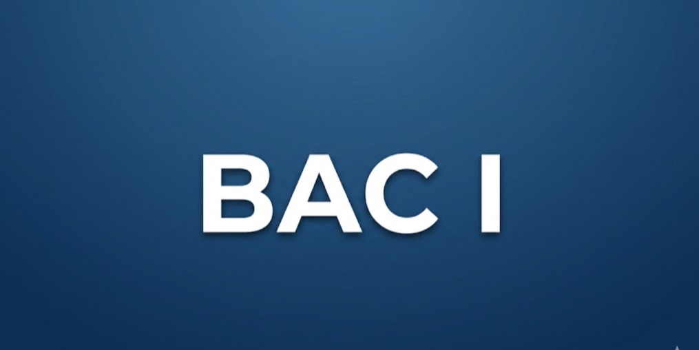 Proclamation des résultats du Bac 1 au Togo : les candidats retiennent ...